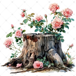 Pink Roses Growing Out of a Tree Stump JPG Clipart Bundle- Digital ...