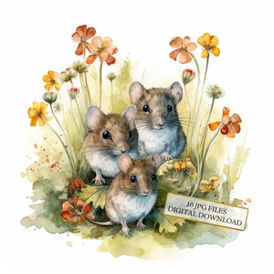 Meadow Mice Among Wildflowers Clipart Bundle- 10 High Quality ...