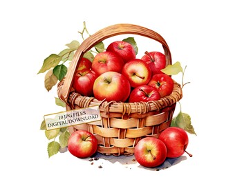 Cozy Fall Apple PNG Watercolor Clipart Bundle Apple Theme - Etsy