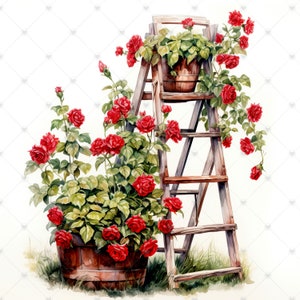 Wooden Step Ladder With Red Roses Clipart Bundle- 10 High Quality ...