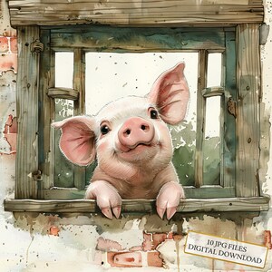 Adorable Little Pig Peeking Through the Window JPG Clipart Bundle ...