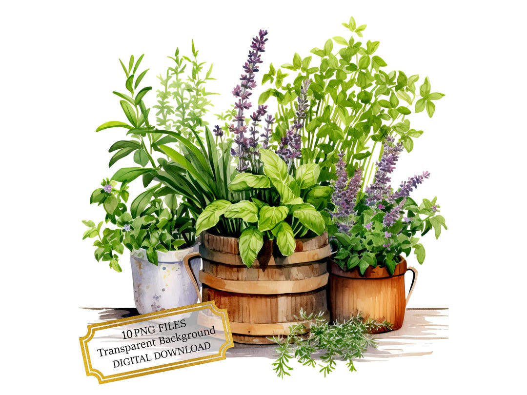 Herb Garden Scenes Clip Art