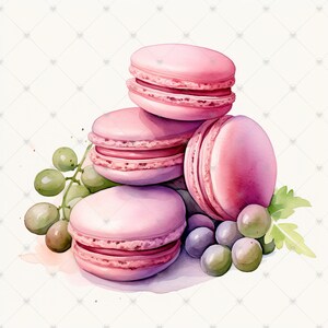 Pastel Macarons With Grapes Clipart Bundle 10 High Quality Watercolor ...