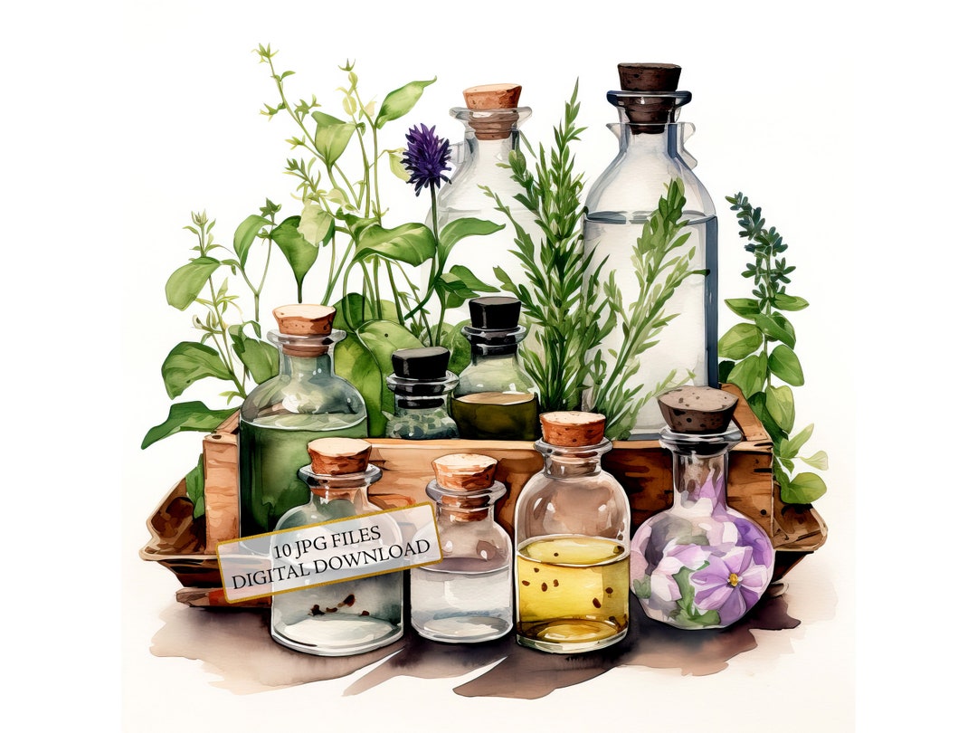 Essential Oils With Herbs Clipart Bundle- 10 High Quality Watercolor ...