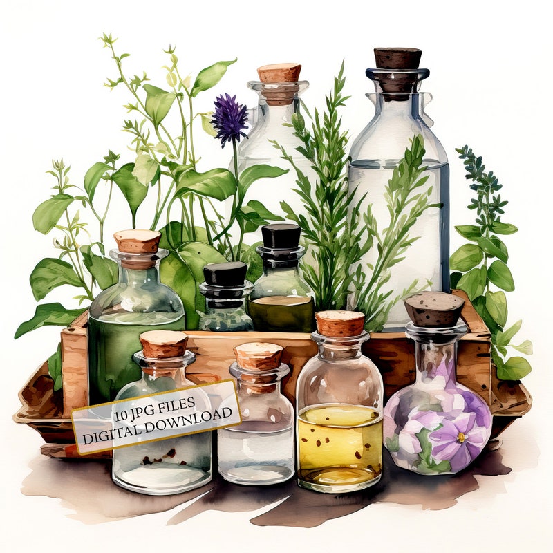 Essential Oil Clipart - Etsy
