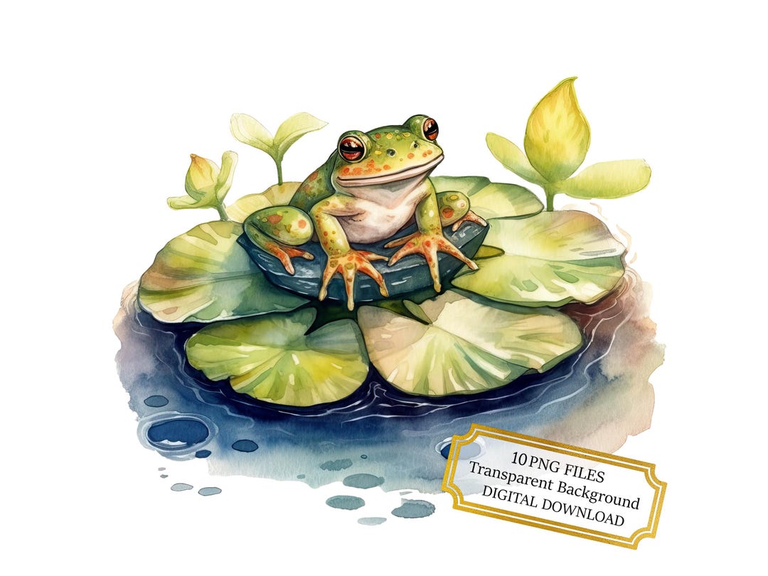 Tiny Frog on a Lily Pad PNG Clipart Bundle- Digital Download - Etsy
