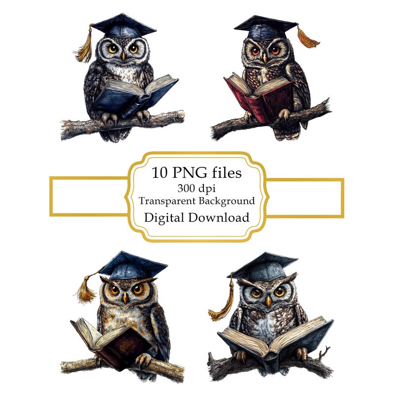 Graduation Owls - Etsy