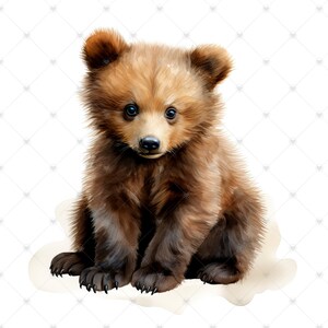 Cute Bear Cub Clipart Bundle- 10 High Quality Watercolor Jpgs- Pet Art ...