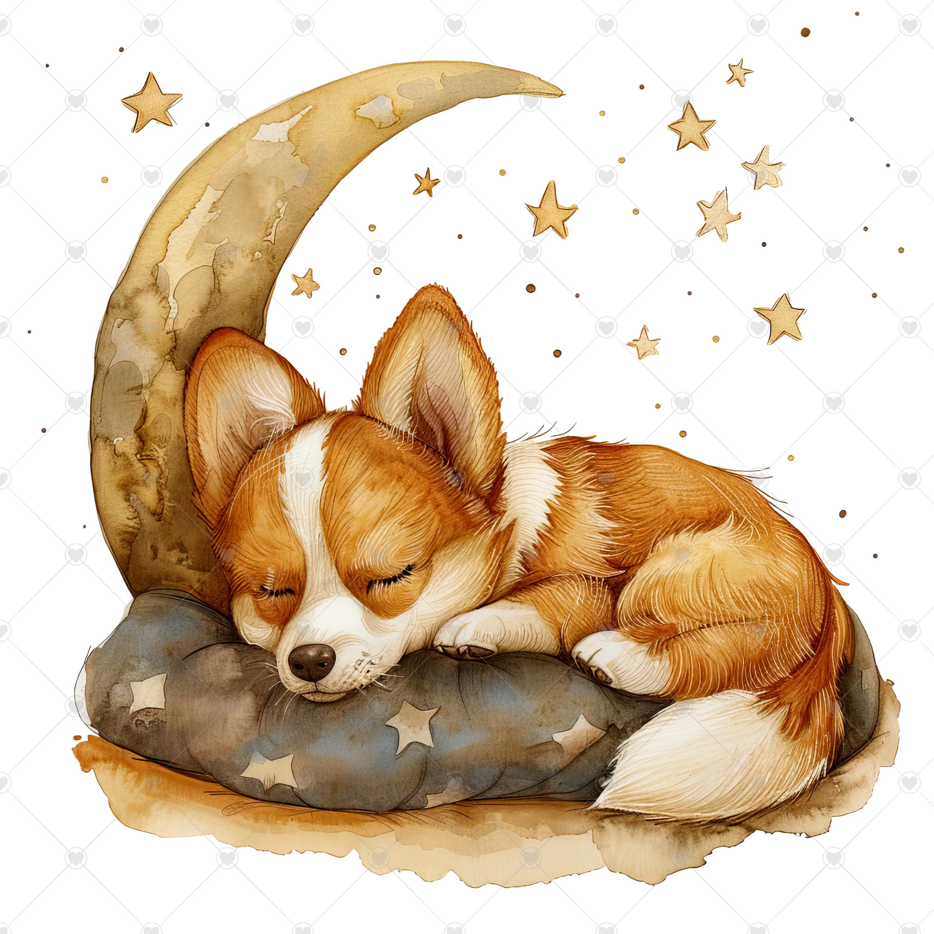 Little Corgi Sleeping by the Crescent Moon PNG Clipart Bundle- Digital ...