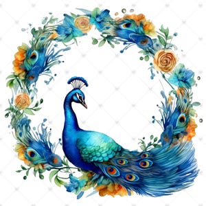 Peacock Circle PNG Clipart Bundle- Digital Download - Etsy