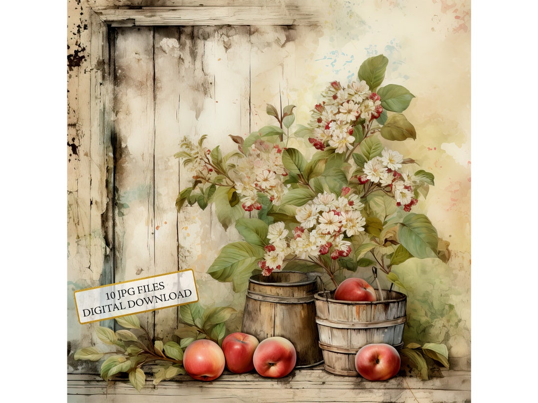 Shabby Chic Harvest of Apples Clipart Bundle- 10 High Quality ...