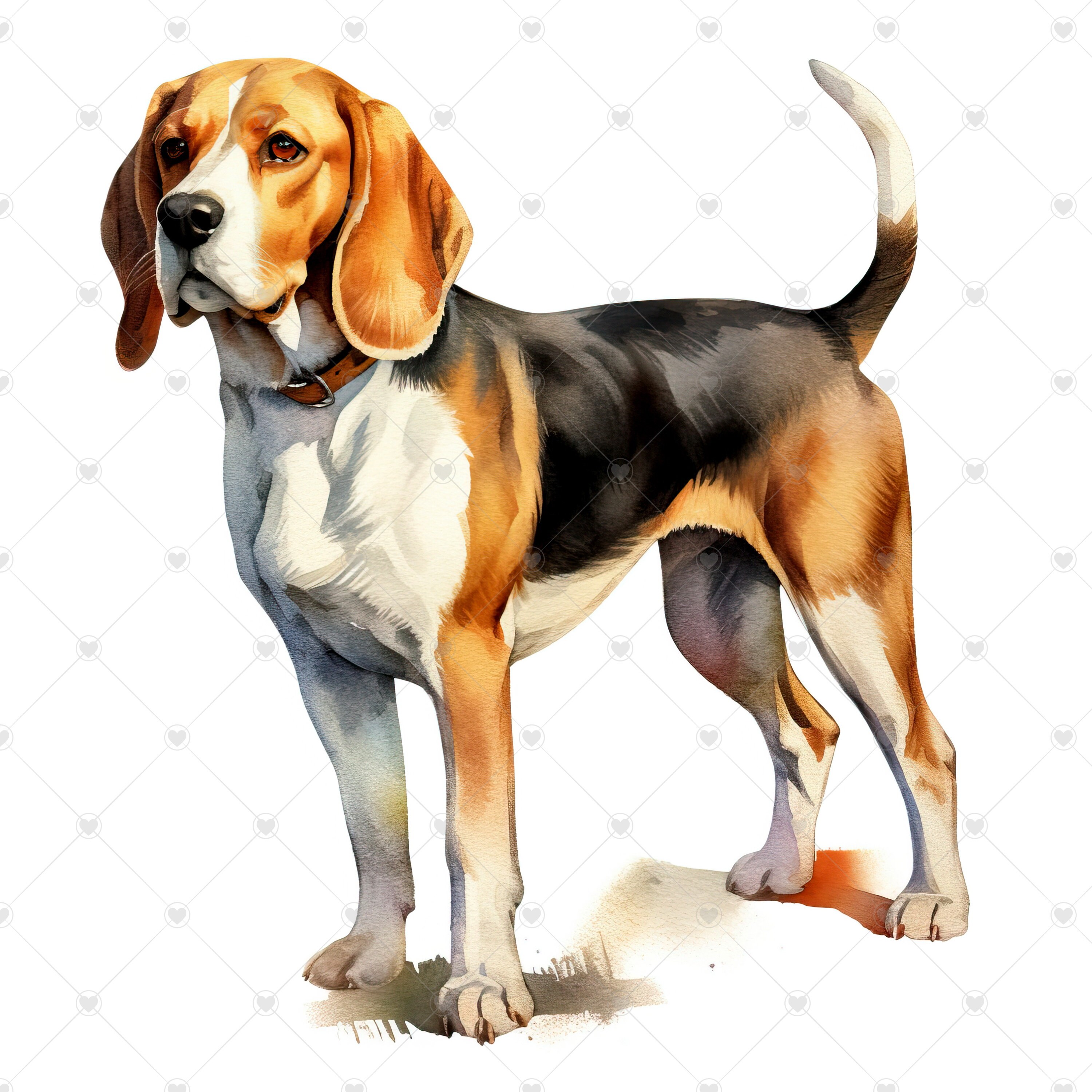 Beagle Dog Clipart Bundle 10 High Quality Watercolor Jpgs - Etsy