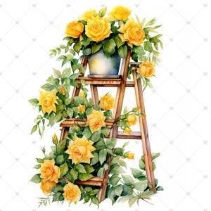 Wooden Step Ladder With Yellow Roses Clipart Bundle 10 High Quality ...