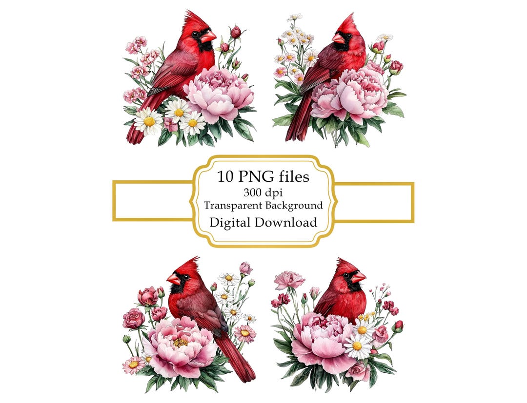Red Cardinal on a Bouquet of Peonies, Roses and Daisies PNG Clipart ...