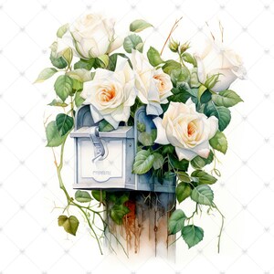 Mailbox With White Roses Clipart Bundle- 10 High Quality Watercolor ...