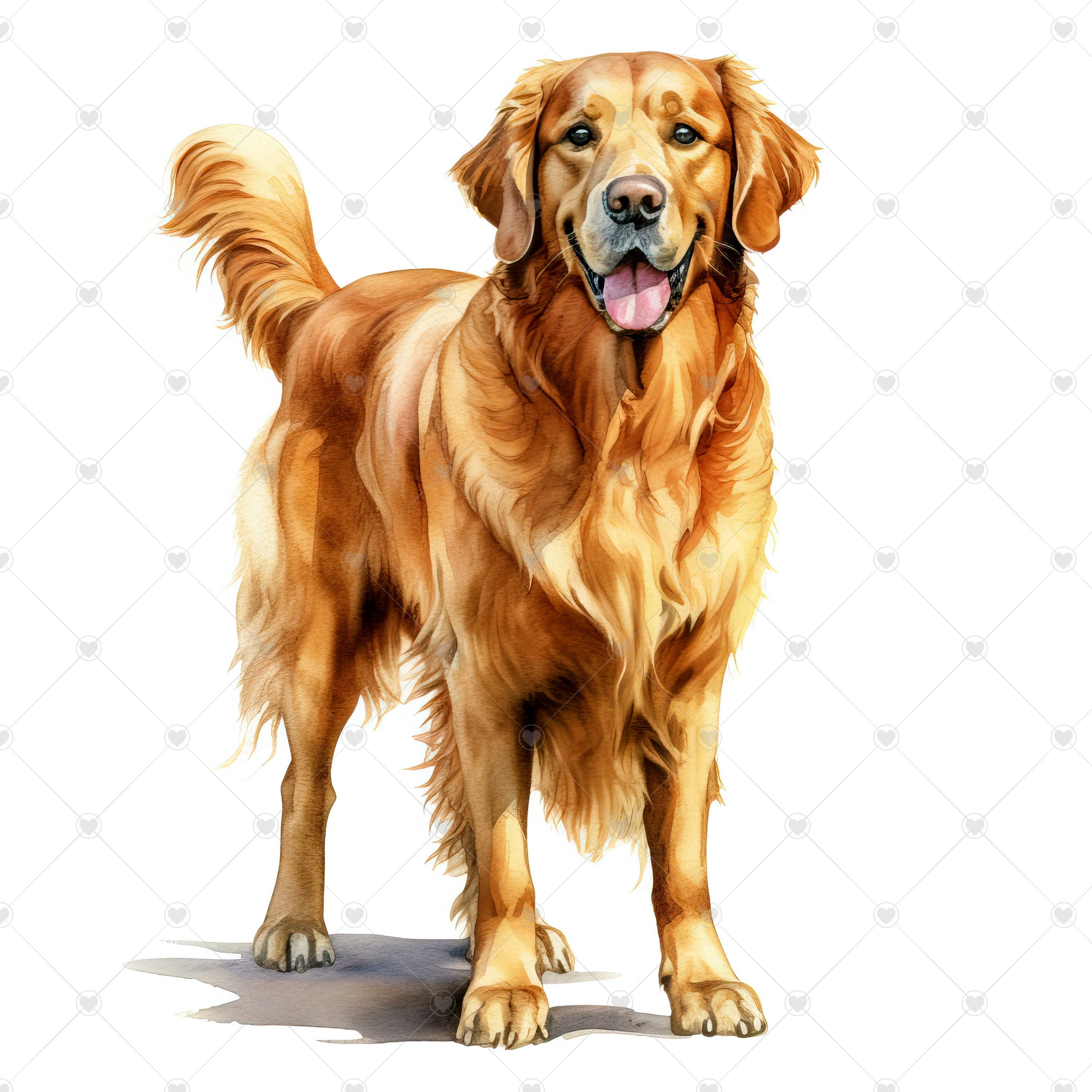 Golden Retriever Dog Clipart Bundle 10 High Quality - Etsy