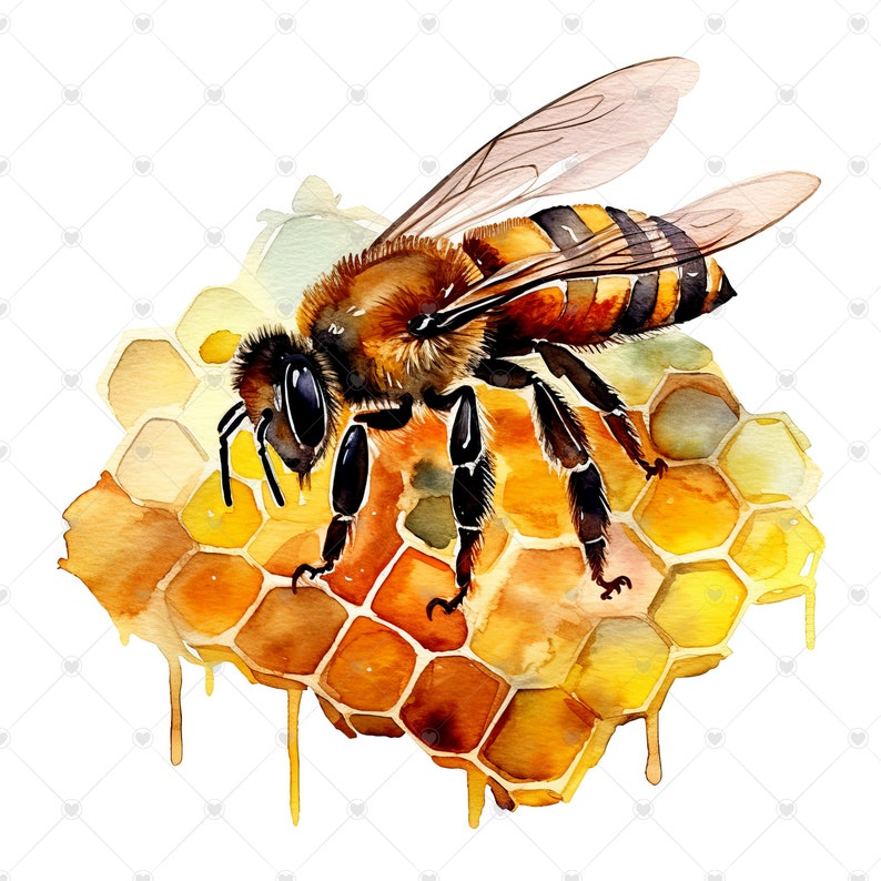 Honey Bee Clipart Bundle 10 High Quality Watercolor Jpgs - Etsy