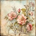 Shabby Chic Wild Roses Aged Paper Clipart Bundle 10 High Quality ...