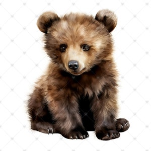 Cute Bear Cub Clipart Bundle- 10 High Quality Watercolor Jpgs- Pet Art ...