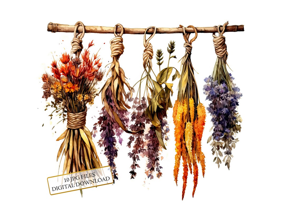 Dried Flowers and Herbs Clipart Bundle- 10 High Quality Watercolor Jpgs ...