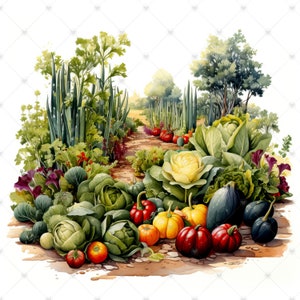 Vegetable Garden Clipart Bundle- 10 High Quality Watercolor Jpgs ...