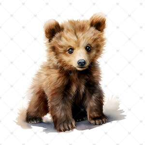 Cute Bear Cub Clipart Bundle- 10 High Quality Watercolor Jpgs- Pet Art ...