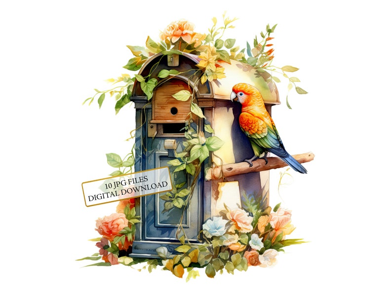 Vintage Floral Mailbox With a Parrot Clipart Bundle 10 High - Etsy