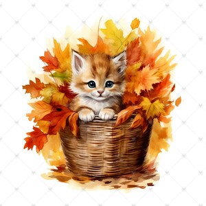 Cute Kitten Inside Autumn Basket Clipart Bundle- 10 High Quality ...