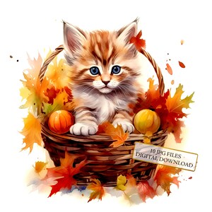 Cute Kitten Inside Autumn Basket Clipart Bundle- 10 High Quality ...