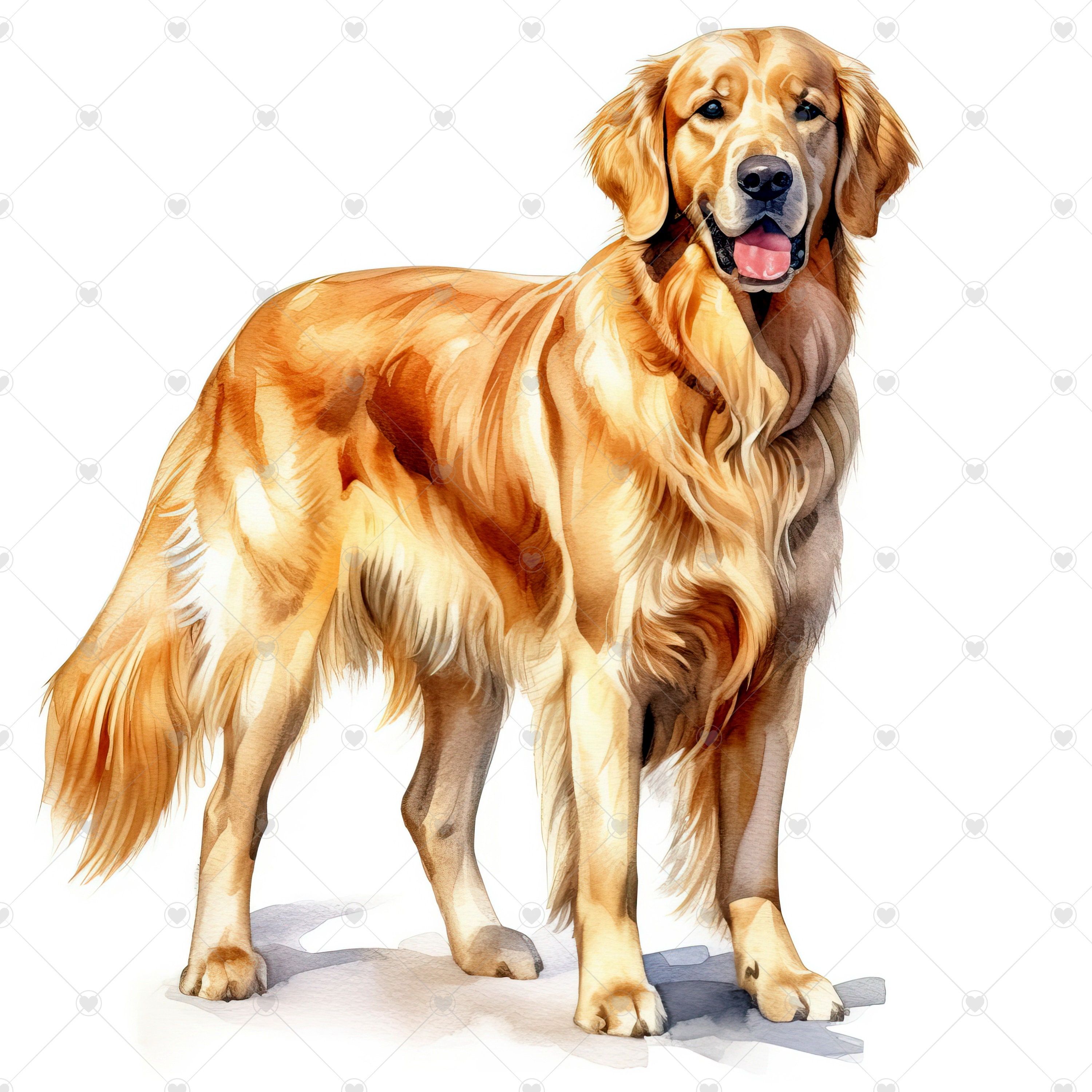 Golden Retriever Dog Clipart Bundle 10 High Quality - Etsy