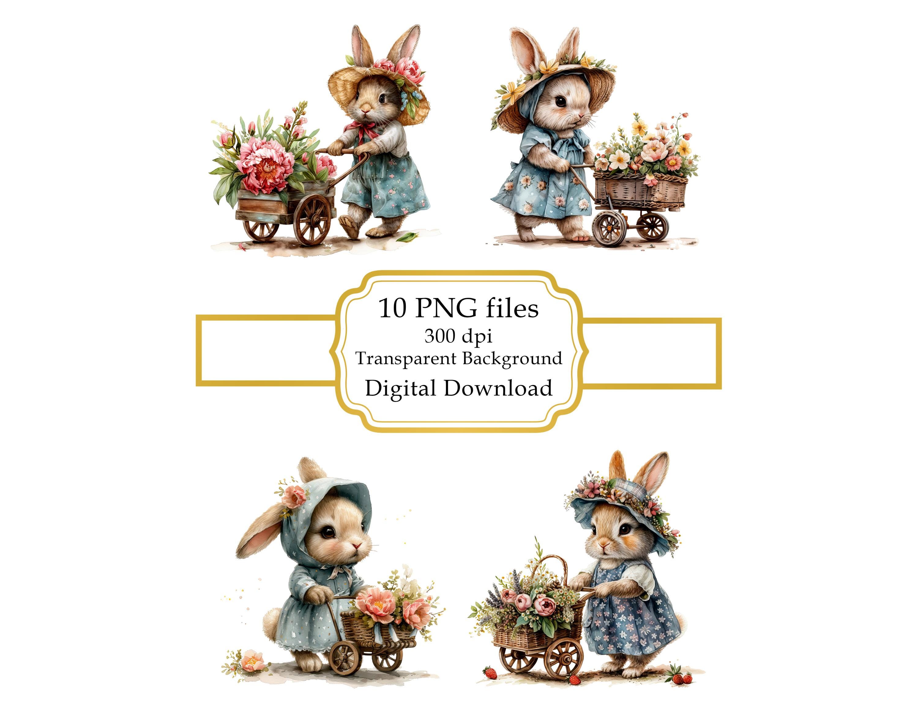 Adorable Little Bunny in Dress With Flowers PNG Clipart Bundle- Digital ...