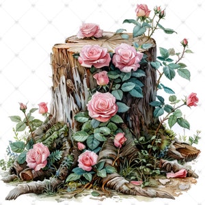 Pink Roses Growing Out of a Tree Stump JPG Clipart Bundle- Digital ...