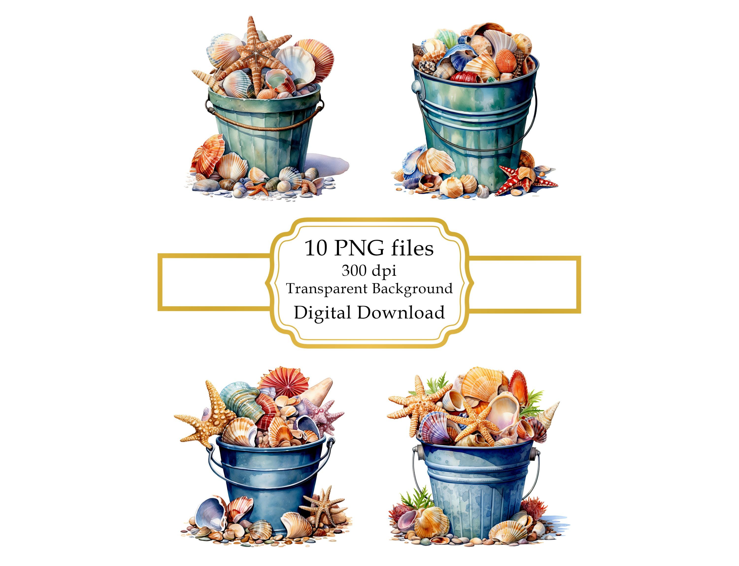 Seashells in a Bucket PNG Clipart Bundle- Digital Download - Etsy Canada