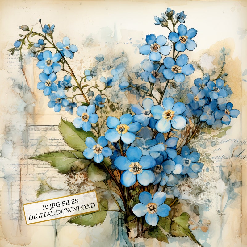 Forget Me Not Paper - Etsy