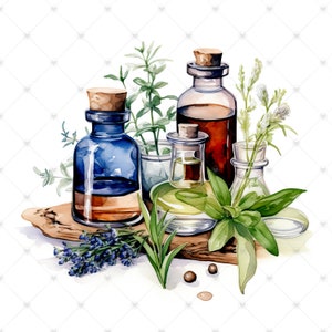 Essential Oils With Herbs Clipart Bundle- 10 High Quality Watercolor ...