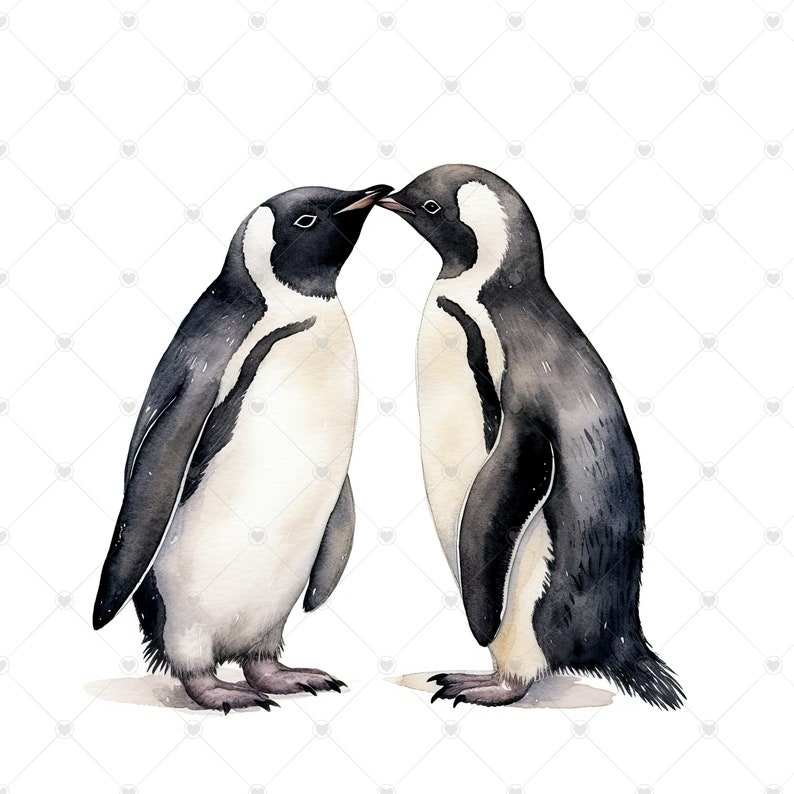 Penguin Couple in Love Clipart Bundle 10 High Quality - Etsy