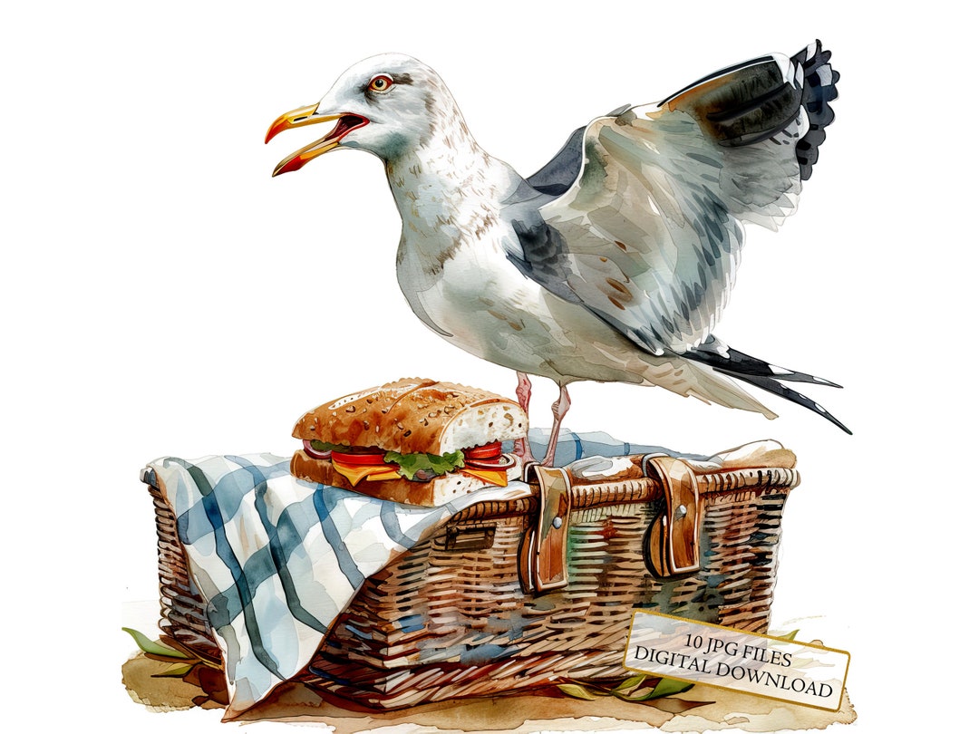 Seagull Stealing Sandwich From a Picnic Basket Clipart Bundle- 10 High ...