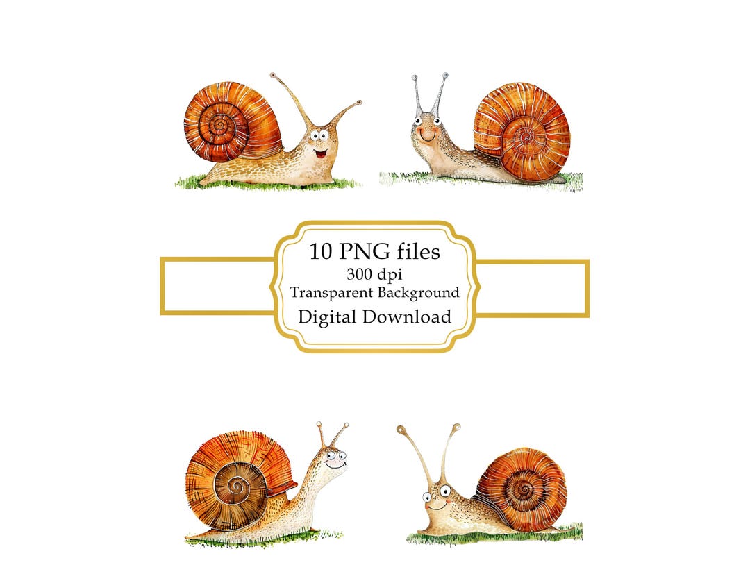 Adorable Silly Snail PNG Clipart Bundle- Digital Download - Etsy