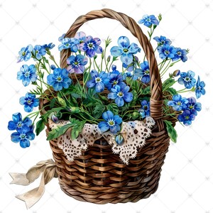Forget Me Not in a Basket With Lace and Ribbon Clipart Bundle- 10 High ...