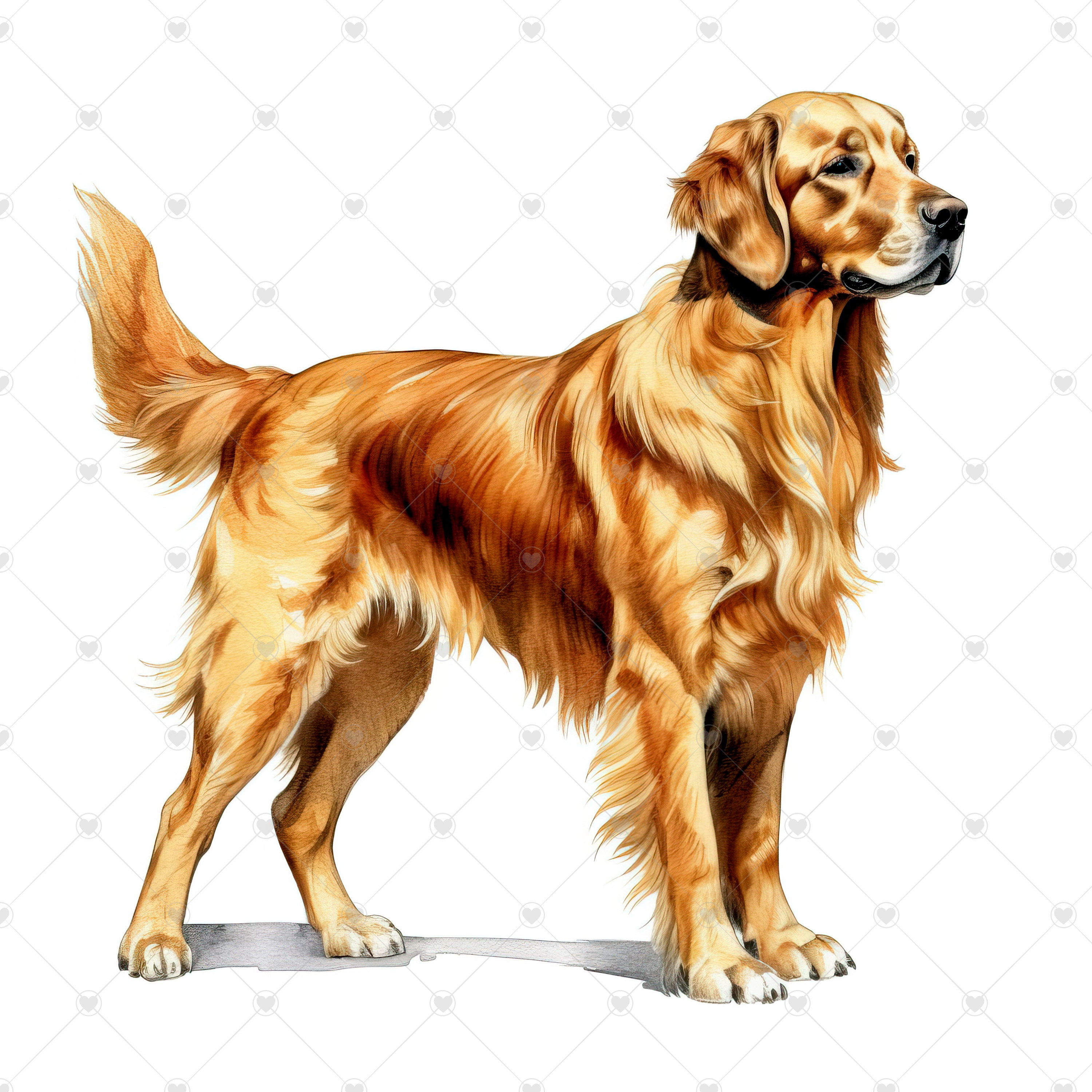 Golden Retriever Dog Clipart Bundle 10 High Quality - Etsy