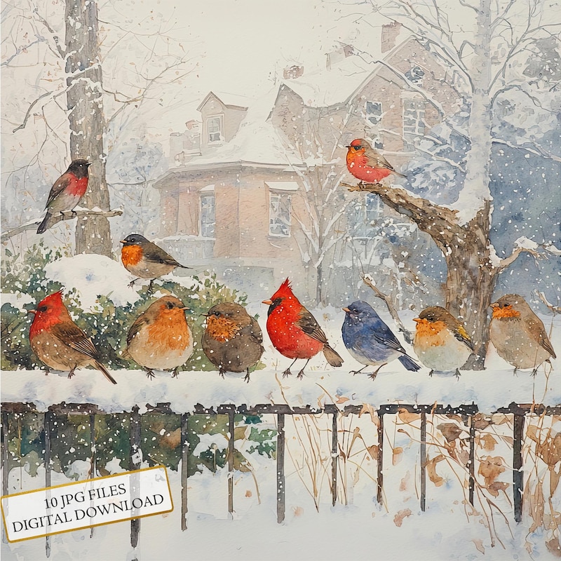 Winter Birds - Etsy