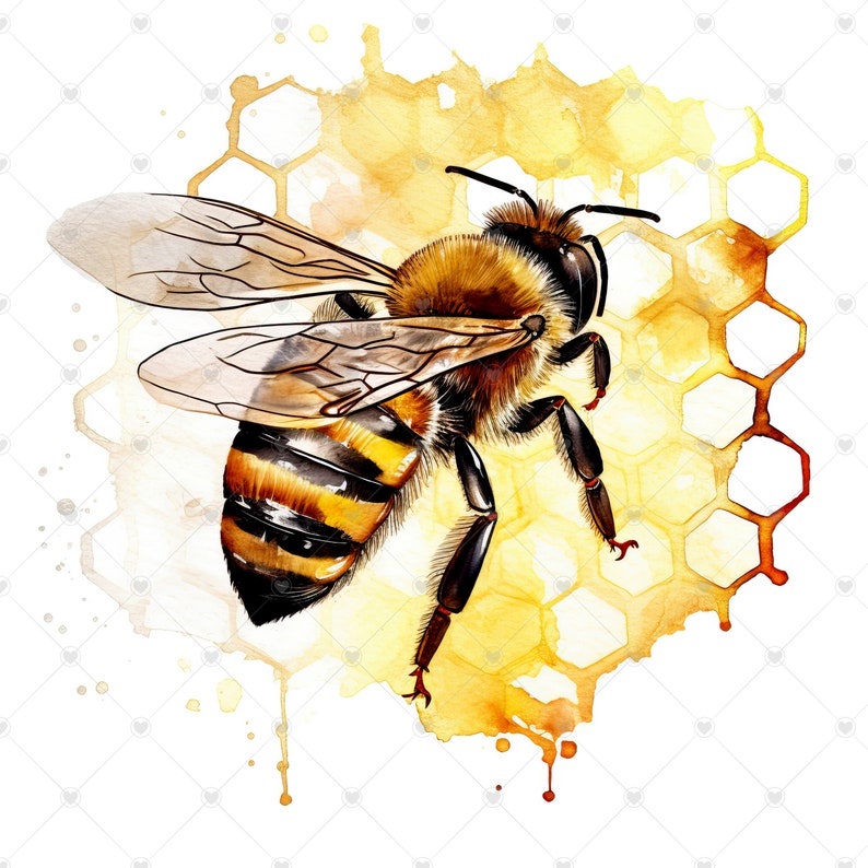 Honey Bee Clipart Bundle 10 High Quality Watercolor Jpgs - Etsy