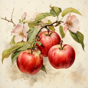 Shabby Chic Apples Clipart Bundle 10 High Quality Watercolor Jpgs Fruit ...