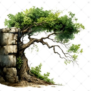 Tree Growing From Stone Page Border Corner Clipart Bundle- 10 High ...