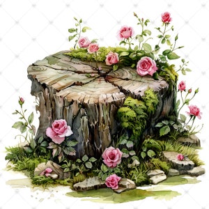Wild Roses Growing Out of a Tree Stump Clipart Bundle- 10 High Quality ...