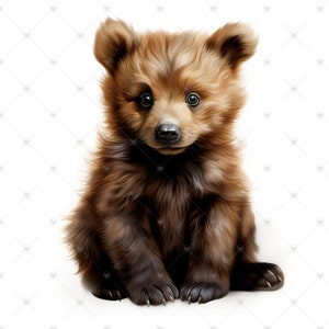 Cute Bear Cub Clipart Bundle- 10 High Quality Watercolor Jpgs- Pet Art ...