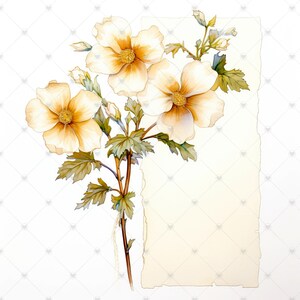 Torn Paper Page With Flowers Clipart Bundle- 10 High Quality Watercolor ...