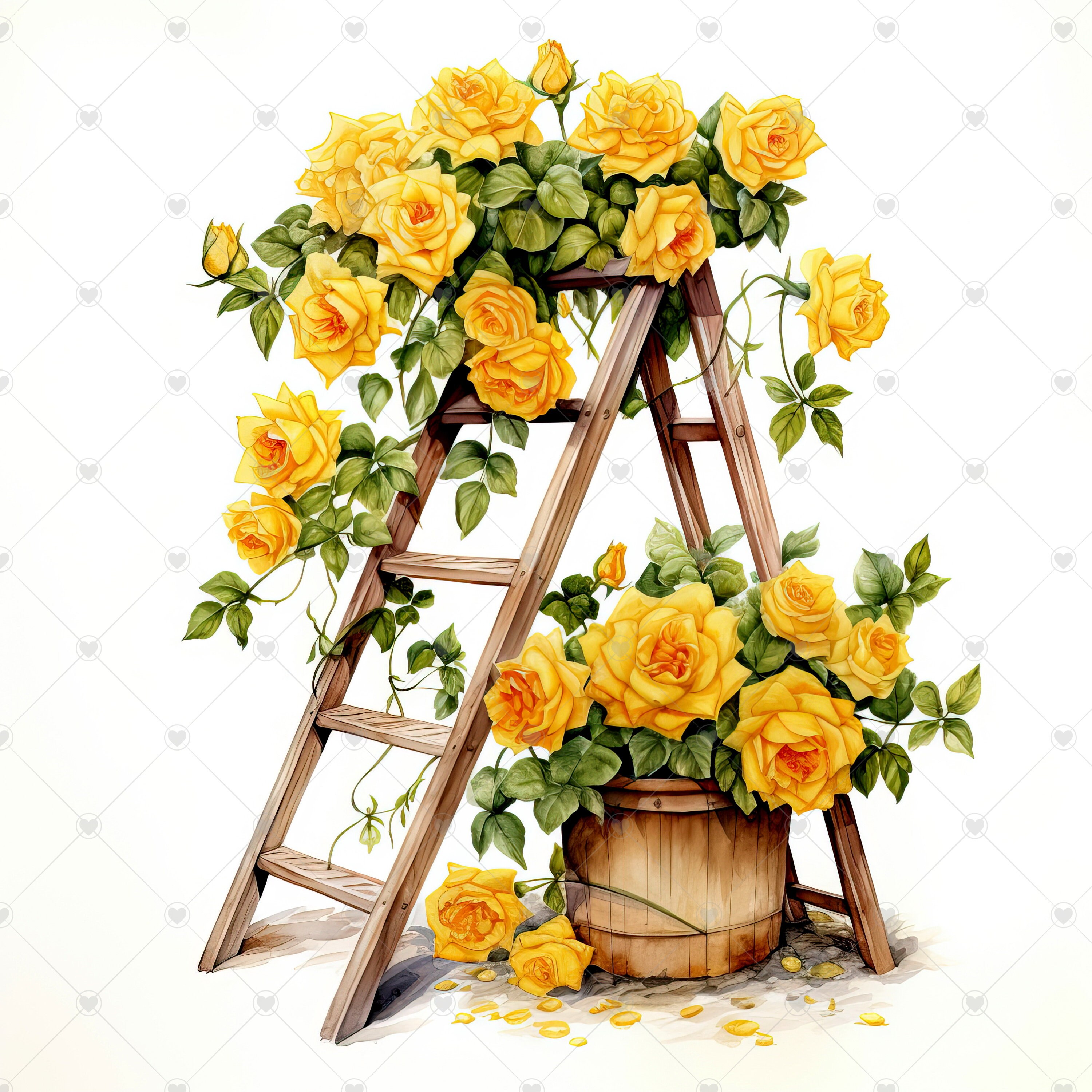 Wooden Step Ladder With Yellow Roses Clipart Bundle 10 High - Etsy