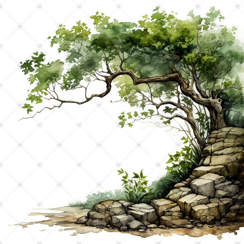 Tree Growing From Stone Page Border Corner Clipart Bundle 10 - Etsy