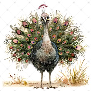 Adorable Curious Peacock Clipart Bundle- 10 High Quality Watercolor ...